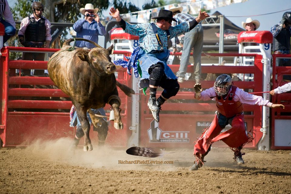 KID ROCK – ROY CARTER’S AMAZING BOVINE ATHLETE - Bucking Stock Talk ...