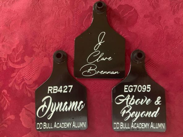 Cody Custer – ProRodeo Hall of Famer Talks Bull Riding Then and Now ...